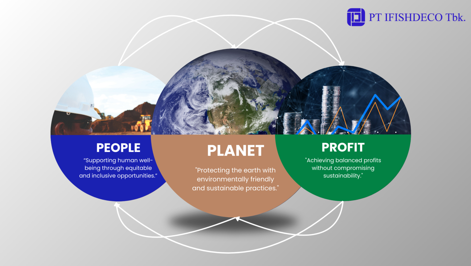 Sustainability Strategy Framework - ifishdeco.com